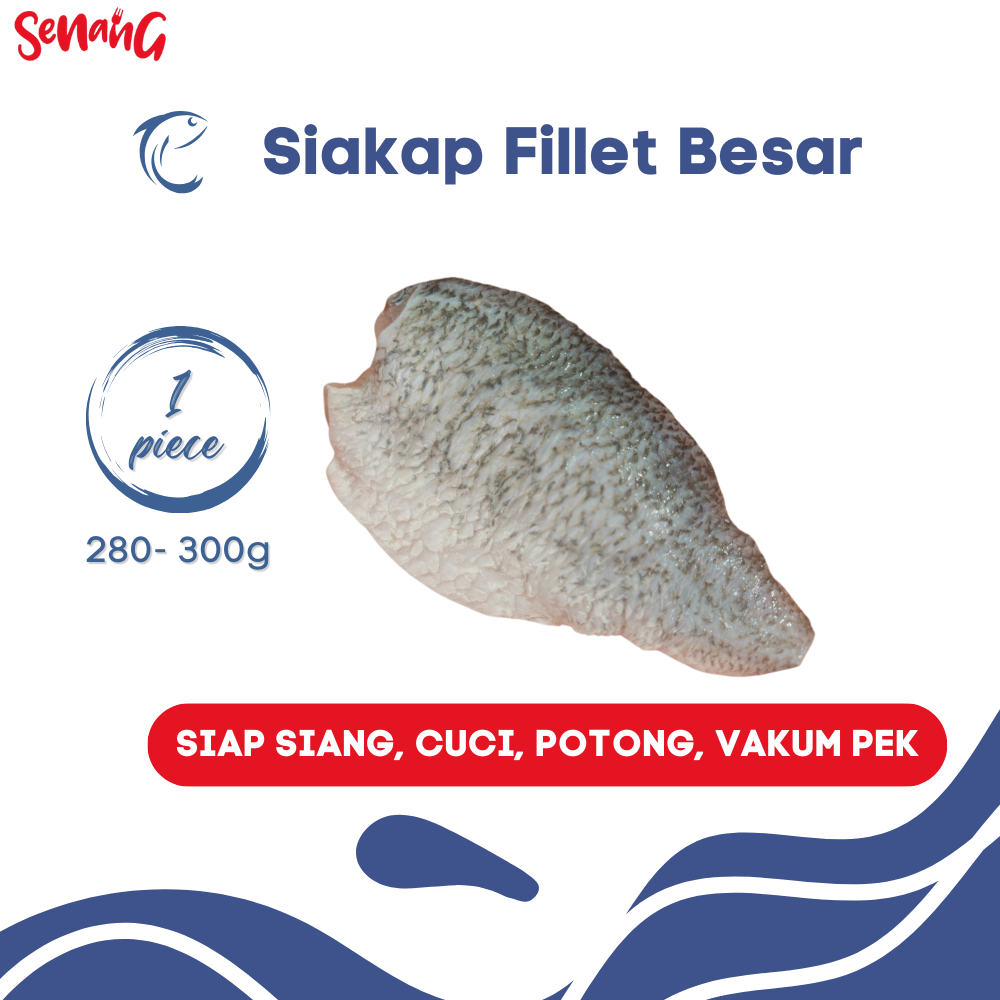 SIAKAP FILLET (280 - 300g/piece), VACUUM-PACKED – Senang Foods